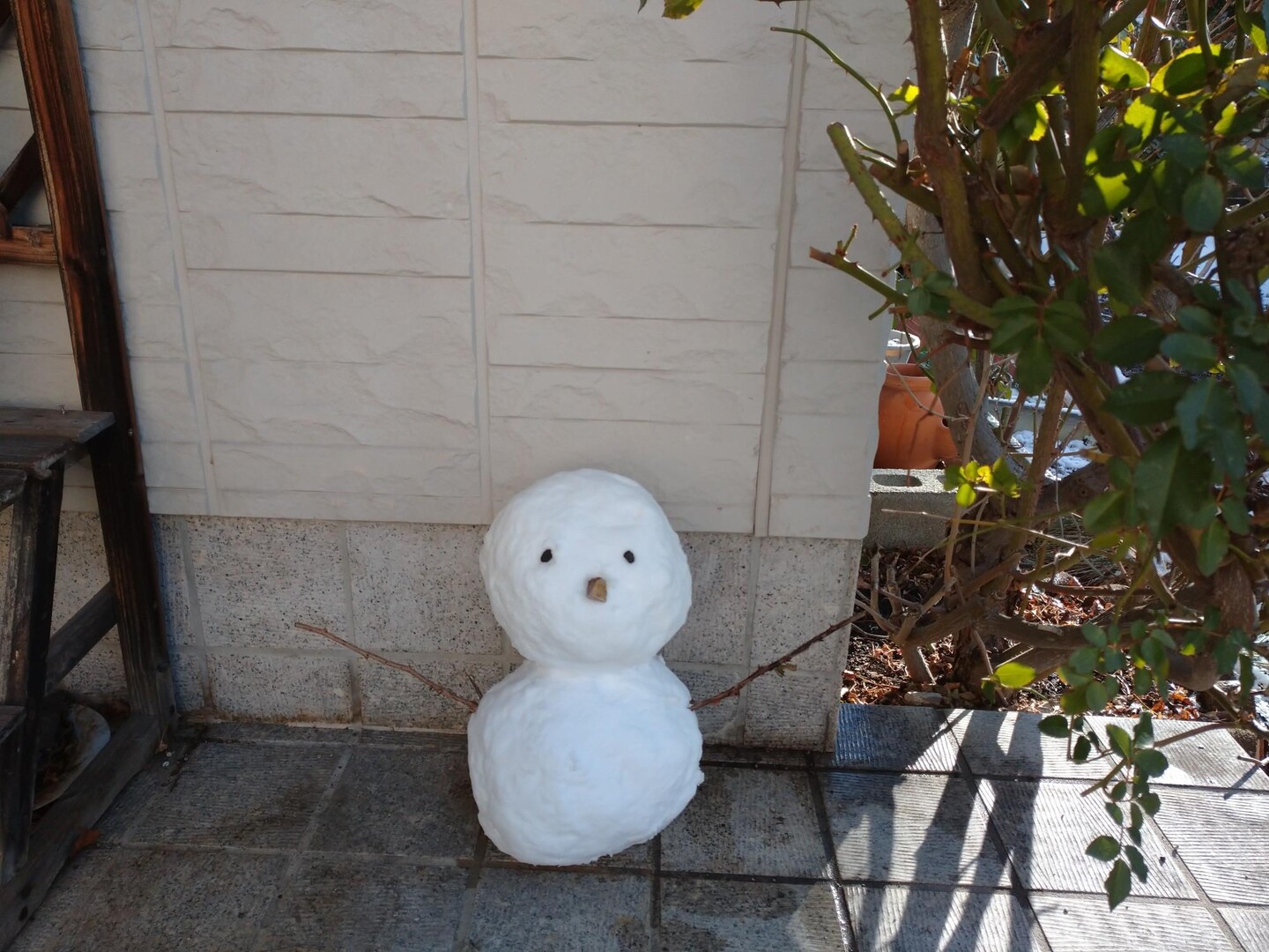 次男のお嫁ちゃんが作成 / くまモンKさんのモーメント | YAMAP / ヤマップ