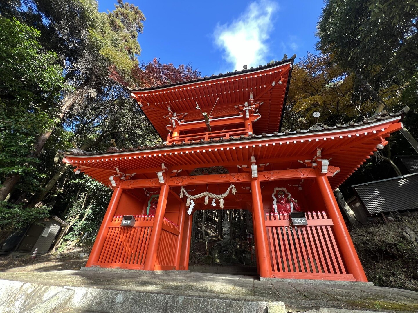 色んな発見(*˘︶˘*).｡.:*♡権現山・阿武山 / megさんの阿武山・野登呂山の活動データ | YAMAP / ヤマップ