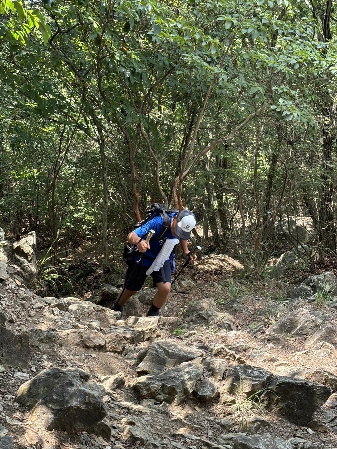 暑い🥵💦 ️吾妻山＆女吾妻山⛰️ / ｺﾖｩﾃ(coyote)さんの鳴神山・吾妻山の活動データ | YAMAP / ヤマップ
