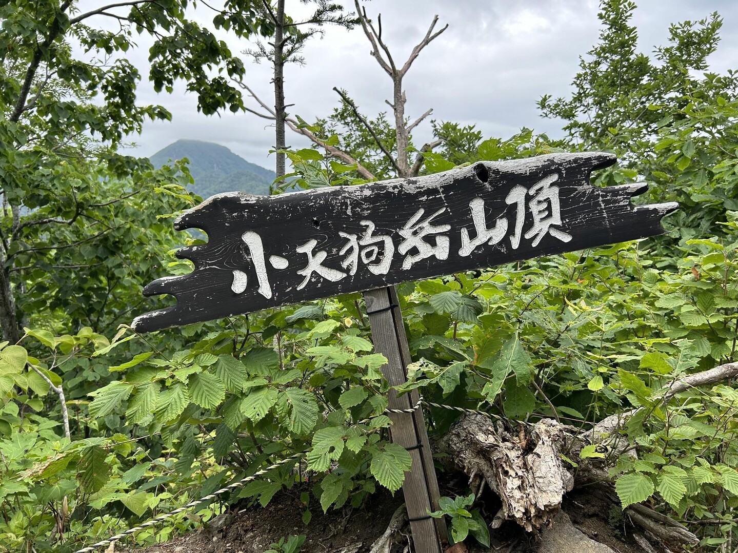 小天狗岳-1 / yuki_iroさんの朝日岳・夕日岳の活動データ | YAMAP / ヤマップ