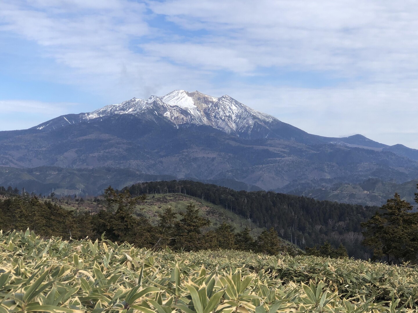 白草山 / victorioさんの白草山・寺田小屋山の活動データ | YAMAP / ヤマップ
