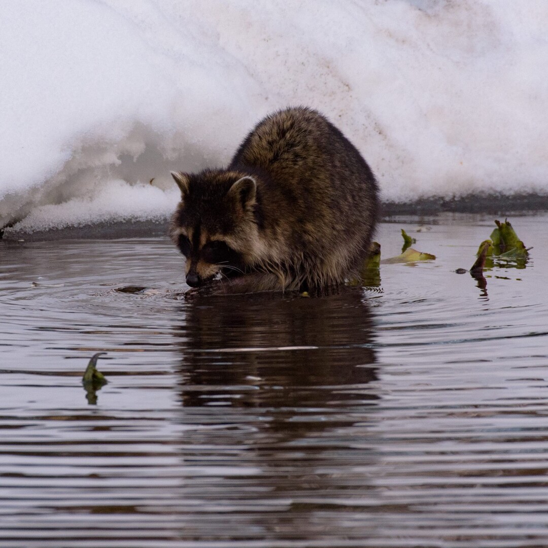 mamizoのページ | YAMAP / ヤマップ