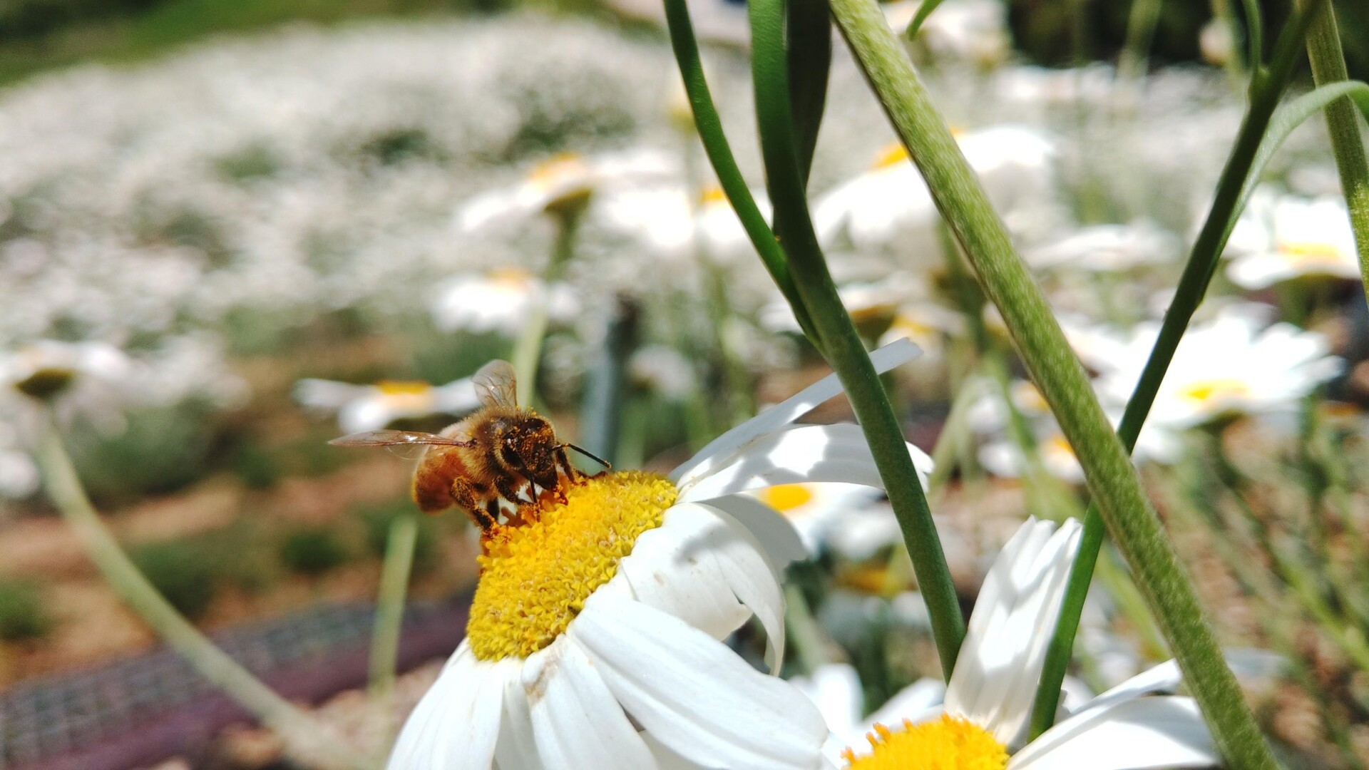 【登山オフ】YouTube動画 http... / 6Kのパンチョさんのモーメント | YAMAP / ヤマップ