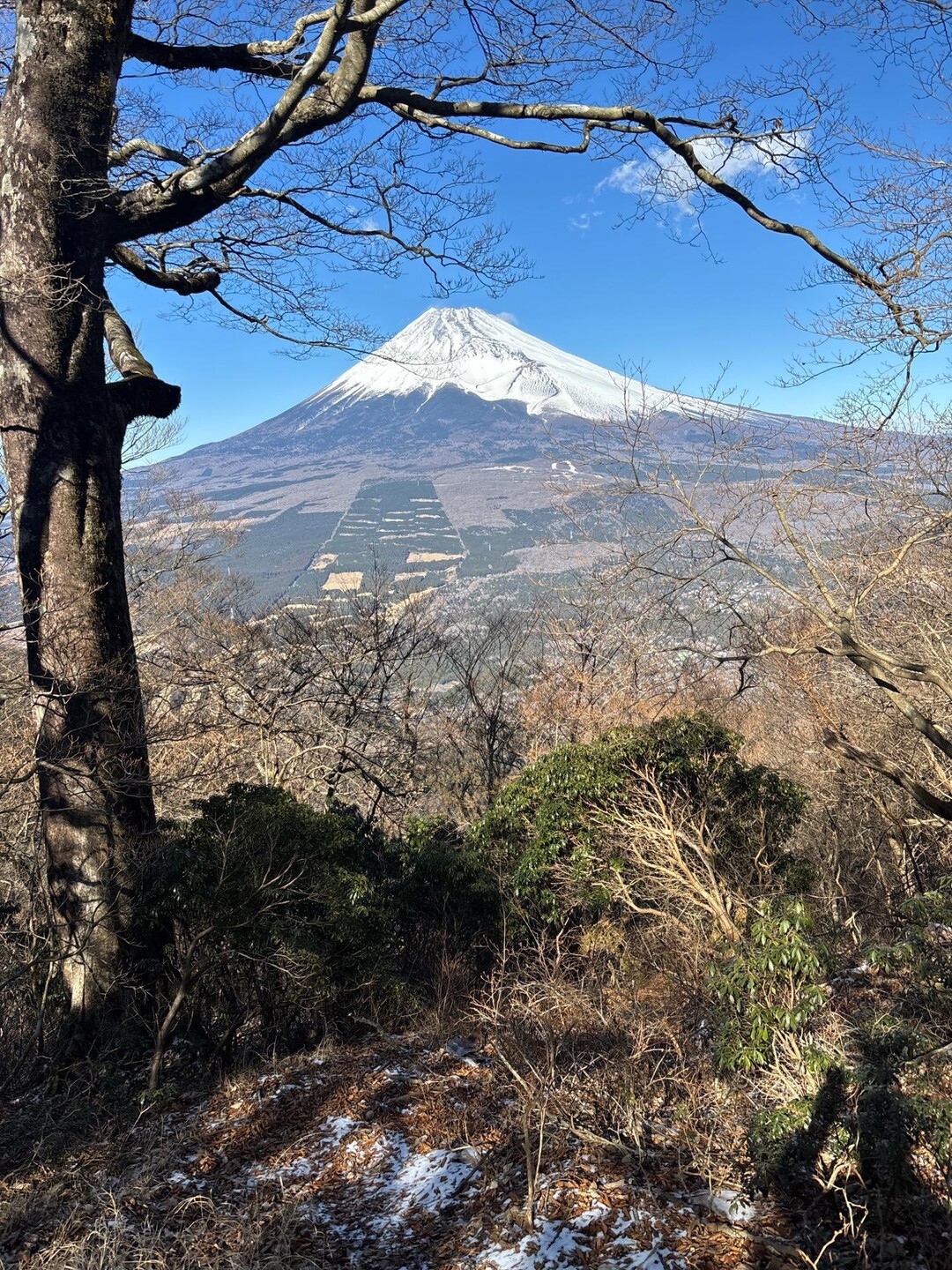 黒岳.越前岳 / hideさんのFUJISAN LONG TRAIL（愛鷹・富士南麓エリア SOUTH）の活動データ | YAMAP / ヤマップ