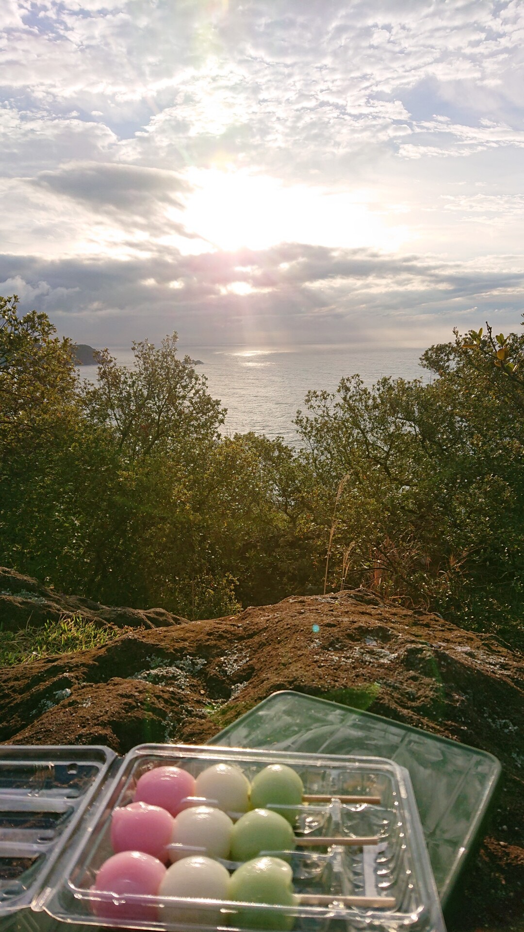桜の咲くところで日の出お花見を楽しもうと... / yuniiiさんのモーメント | YAMAP / ヤマップ