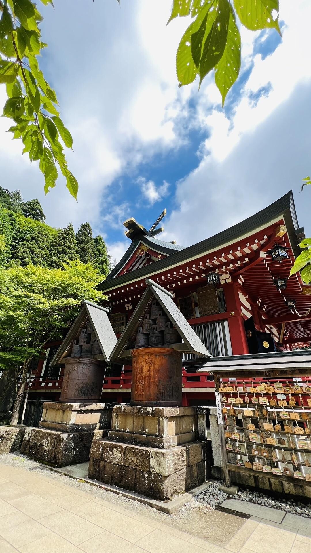 2023.7.23.大山 / yuumin222.さんの大山の活動データ | YAMAP / ヤマップ