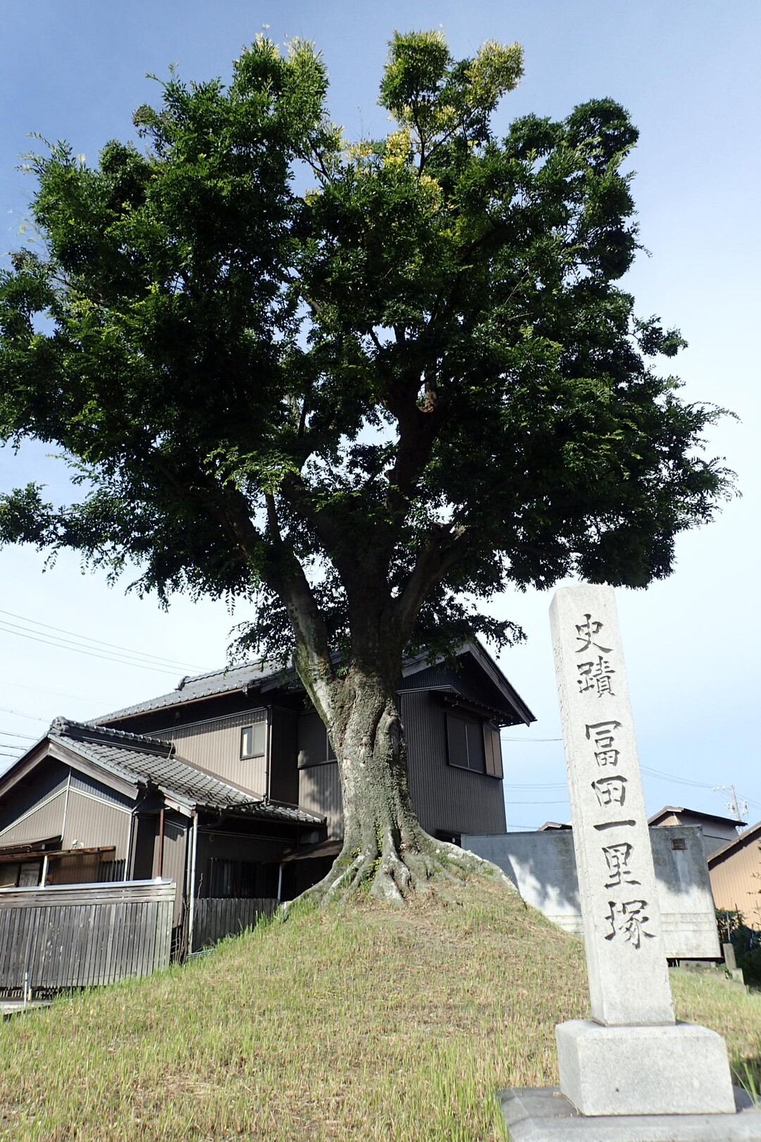 美濃路 2/2 / Thomasさんのハイキングの活動データ | YAMAP / ヤマップ