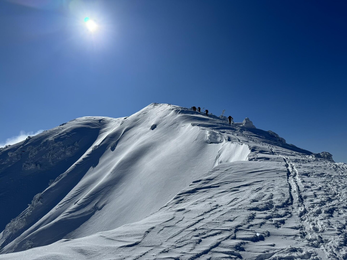 もふもふサイコーの荒島岳🎵 / hirosyさんの荒島岳の活動データ | YAMAP / ヤマップ