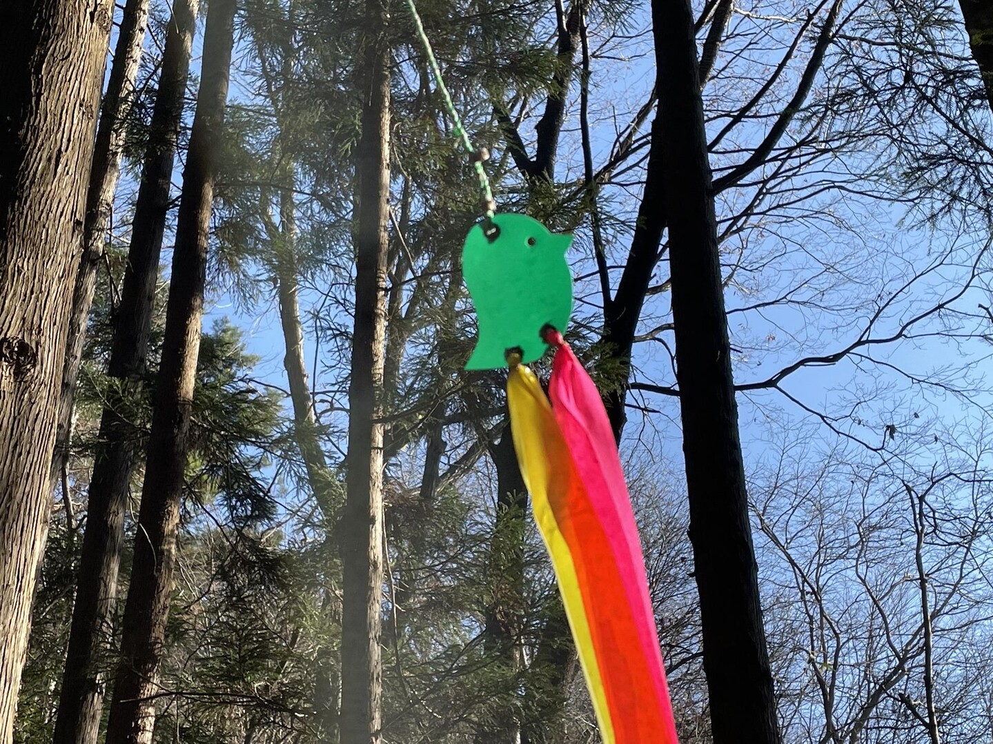 2023.01.19(木) 13:20 / ケロケロ🐸🐸🐸さんのモーメント | YAMAP / ヤマップ