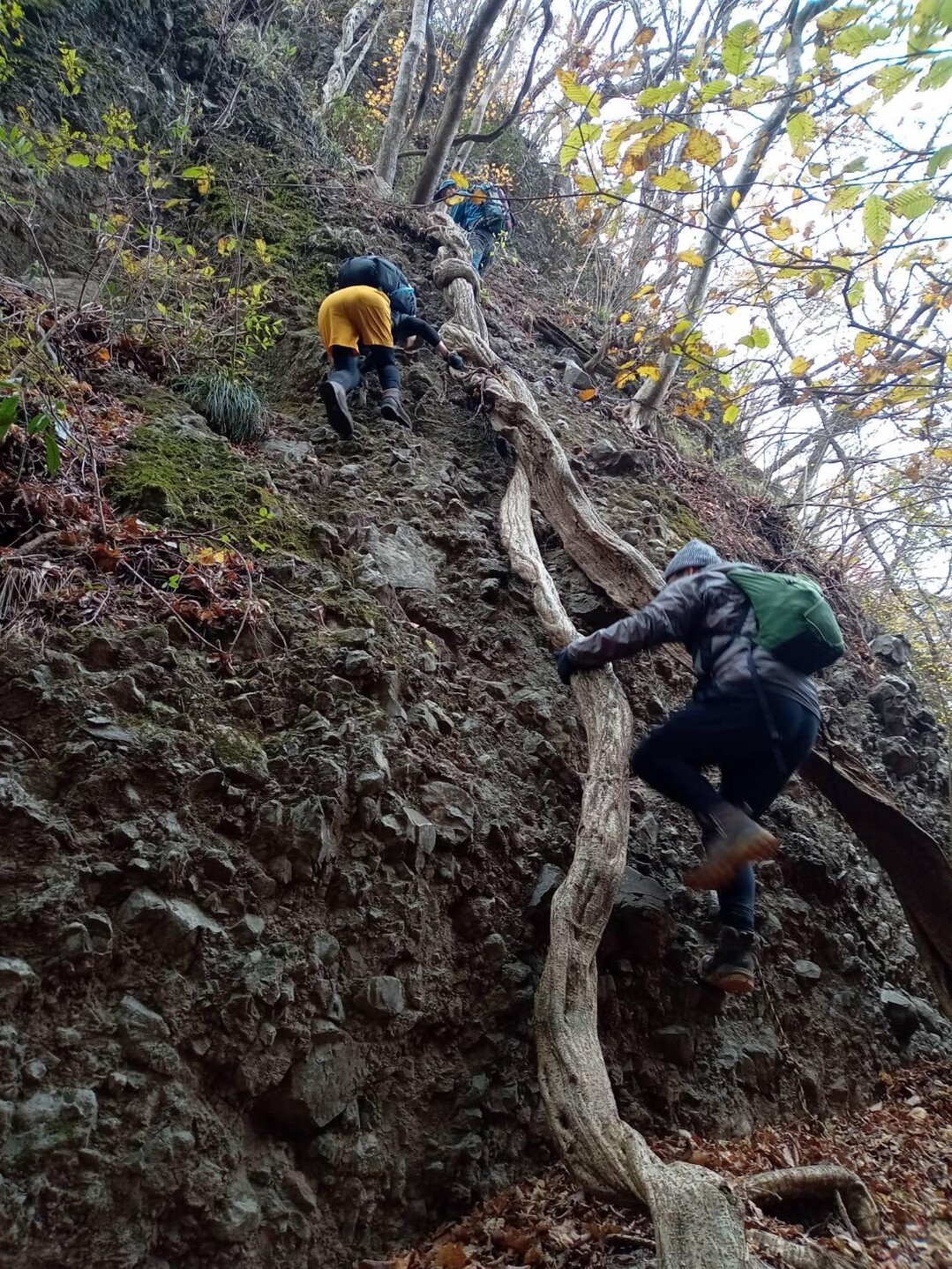 ずっ〜と五十肩痛くてキツいなぁって思って... / eeeeeeiichi さんのモーメント | YAMAP / ヤマップ