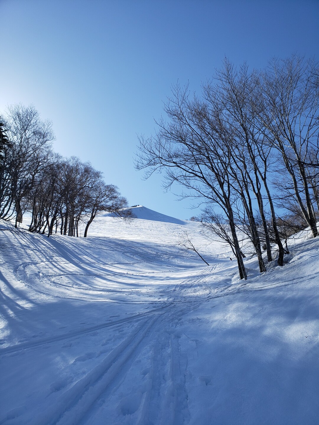 源太ヶ岳 テックビンスノーハイク / ken5bt（冬灯り静かに火照る吾が心🔥まだ夏眠中😴）さんの岩手山・八幡平・安比高原 50km トレイルの活動データ | YAMAP / ヤマップ