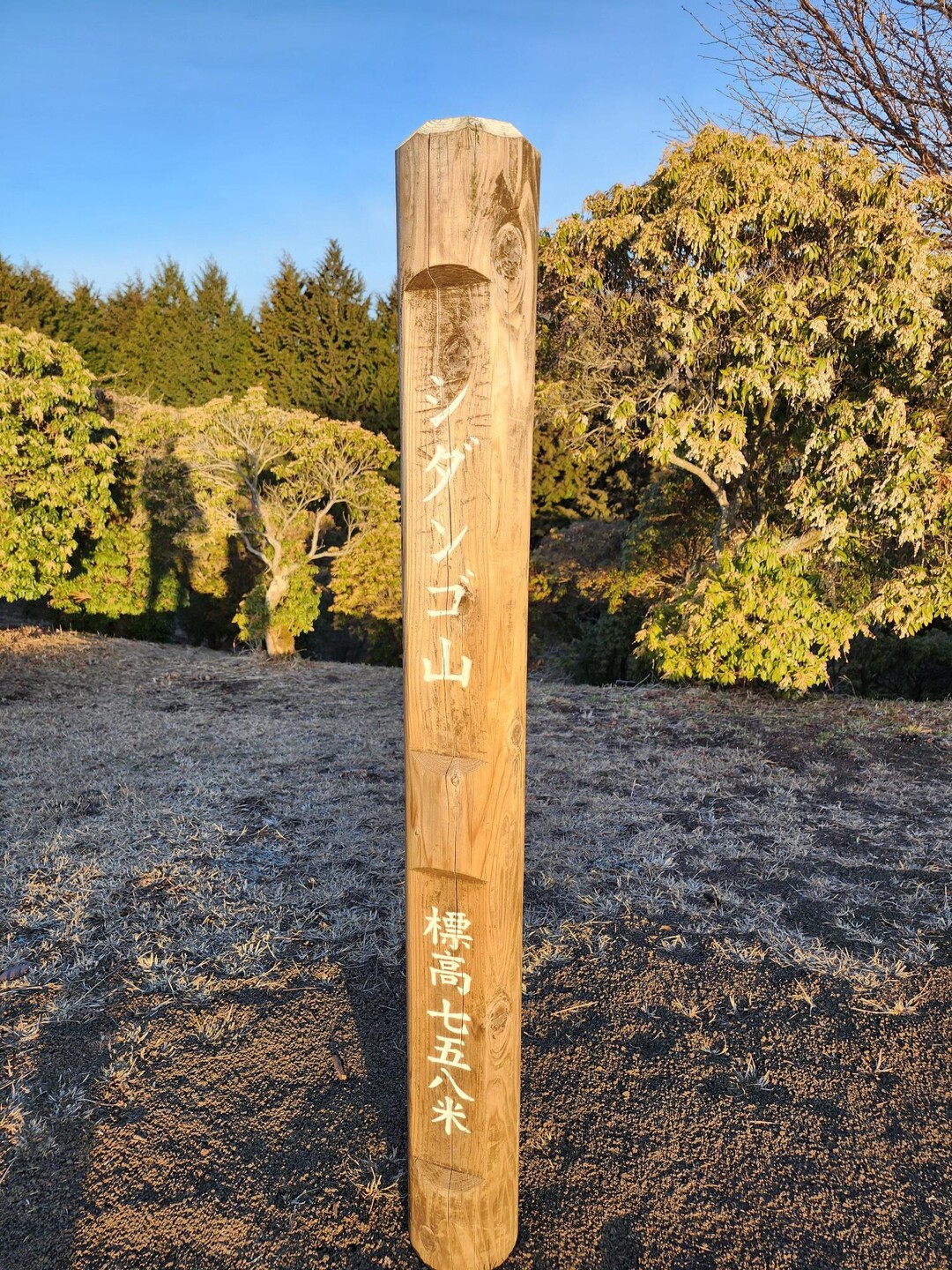 シダンゴ山・ダルマ沢ノ頭・細尾山・タコチバ山・宮地山 / mtc0190さんの高松山・大野山の活動データ | YAMAP / ヤマップ