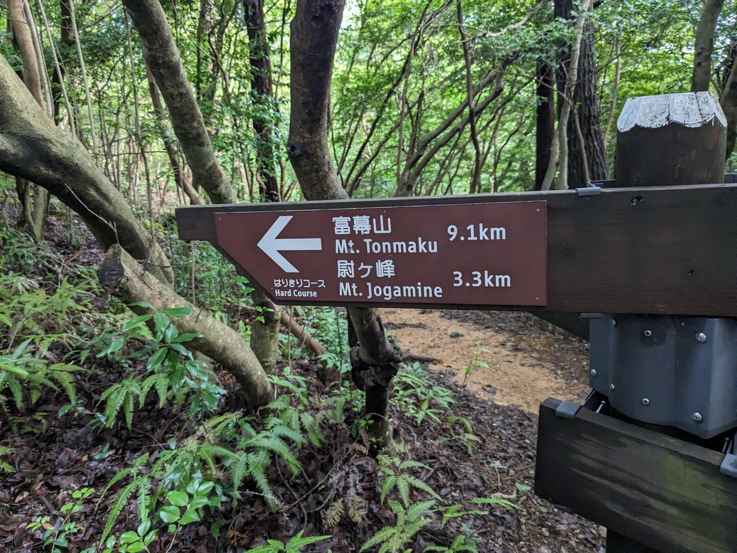 尉ヶ峰から富幕山 / eryiさんの富幕山・尉ヶ峰・竜ヶ石山の活動データ | YAMAP / ヤマップ