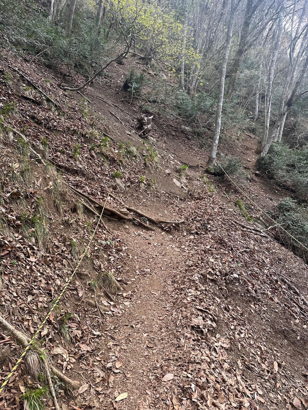 kei ichiさんの投稿したフィールドメモ | YAMAP / ヤマップ