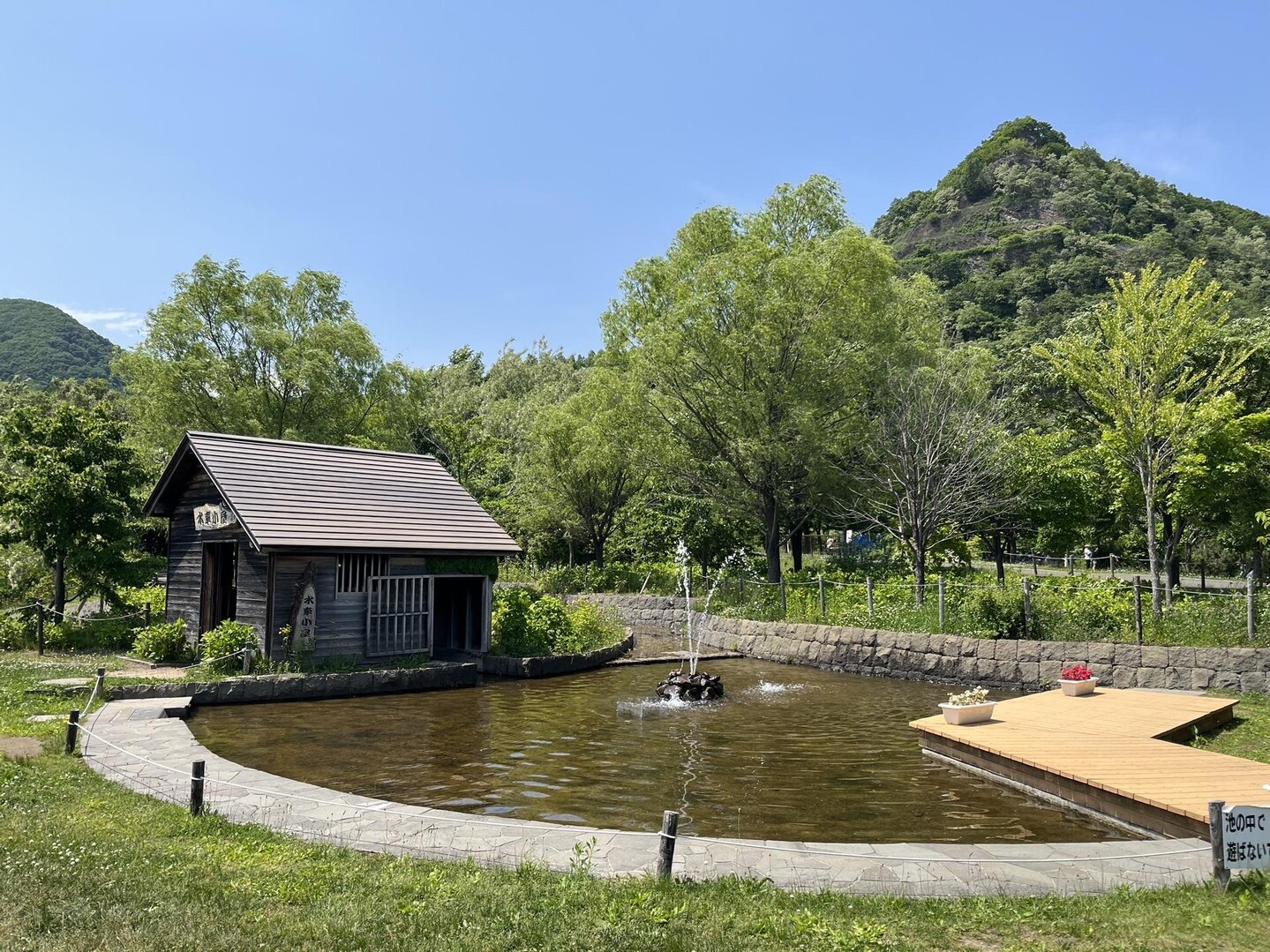 五天山 2024.6.15 / J’Na•••5さんの三角山・大倉山・円山の活動データ | YAMAP / ヤマップ