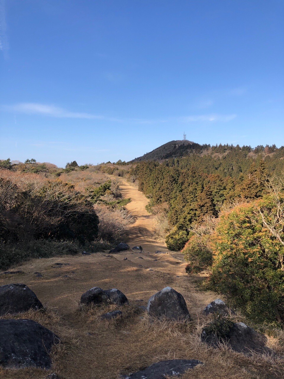 金冠山・小達磨山・達磨山 / tykmktさんの金冠山・達磨山・葛城山の活動データ | YAMAP / ヤマップ
