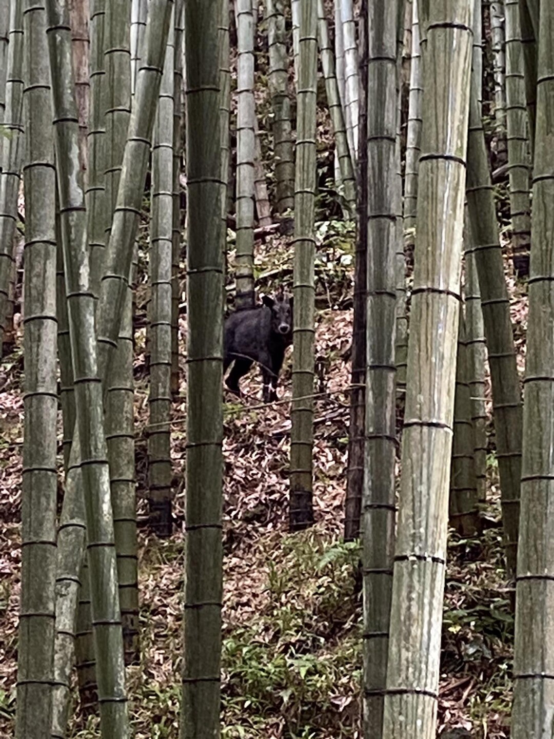 2023.07.13(木) 04:58 / そらさんのモーメント | YAMAP / ヤマップ