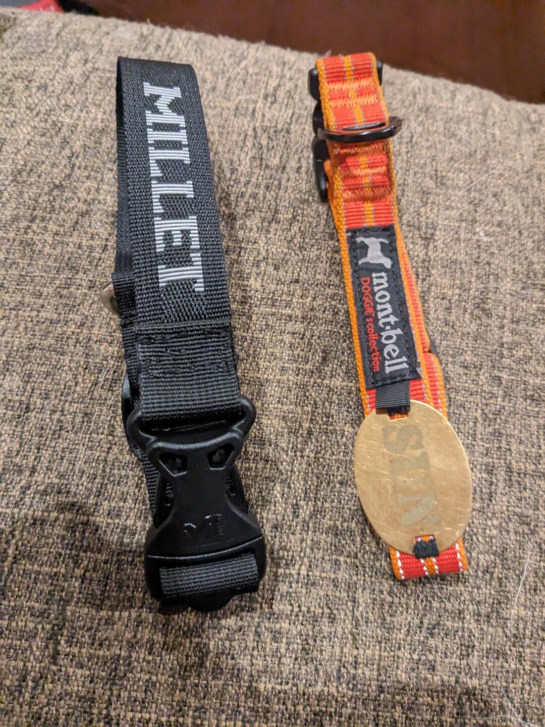 朝4時から鹿駆除パトロールしても鹿居ら... / rinaさんのモーメント | YAMAP / ヤマップ