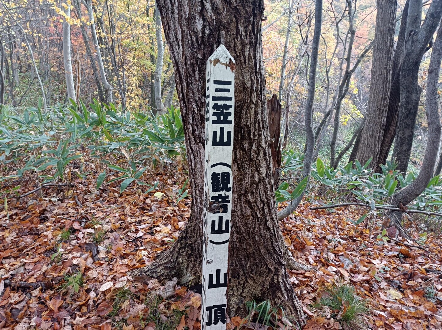 三笠山（観音山） / junpeiさんの美唄市の活動データ | YAMAP / ヤマップ