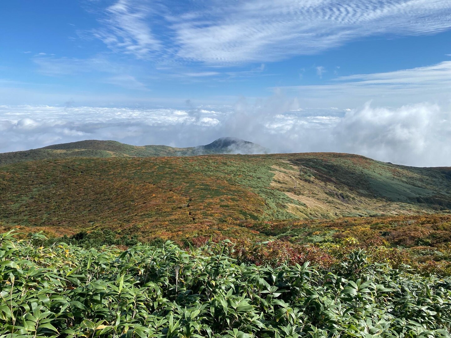 ぴよぴよさんの投稿したフィールドメモ | YAMAP / ヤマップ