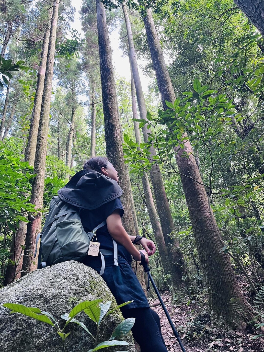 hello!!浮嶽 / Mt.Ikkiさんの二丈岳・十坊山の活動データ | YAMAP / ヤマップ