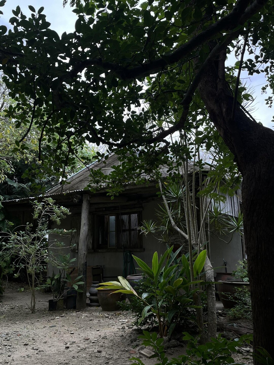 石垣島のやちむん館工房にて 白保の文化... / yoshimiさんのモーメント | YAMAP / ヤマップ