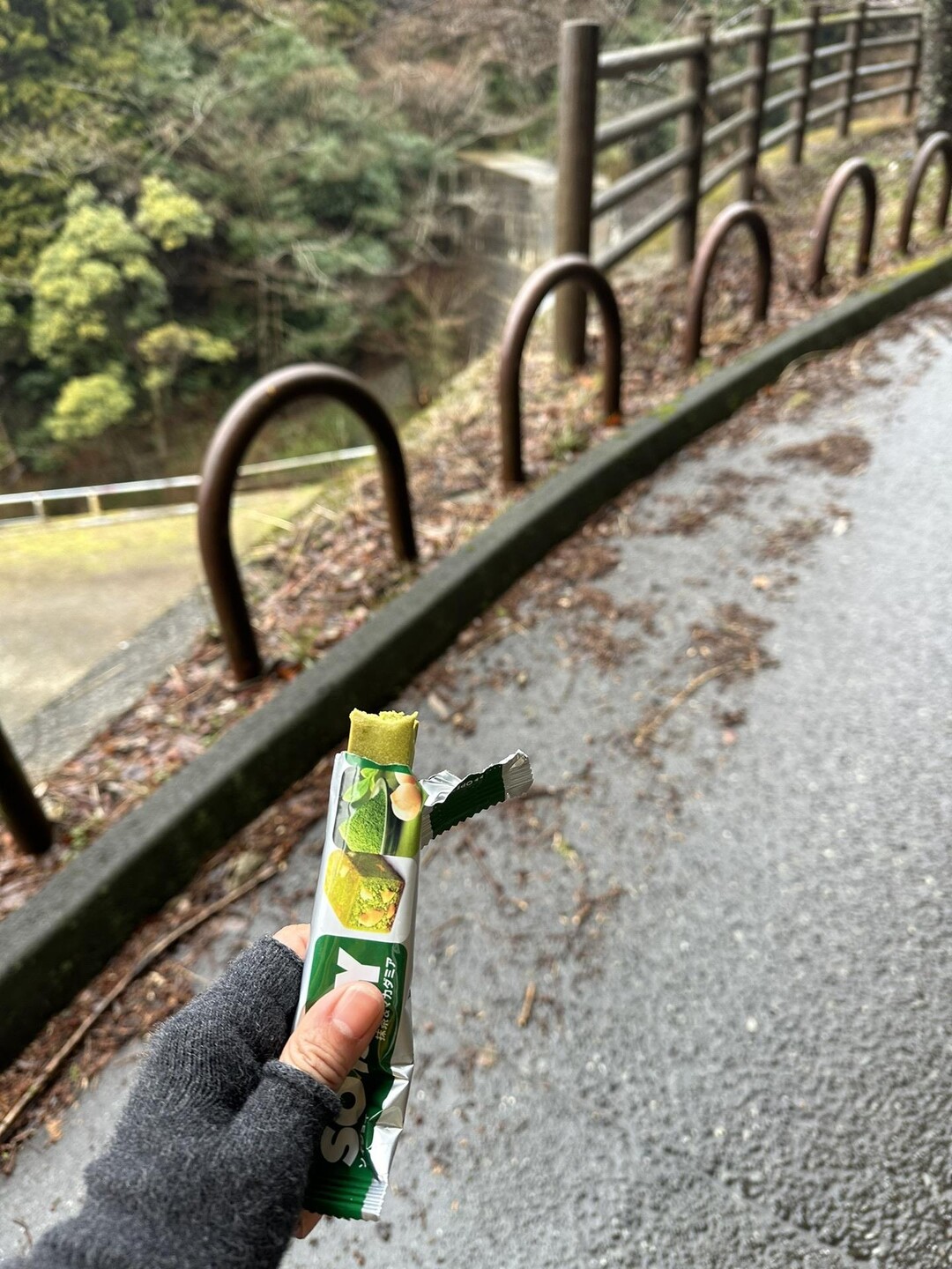 USKへようこそ！⛰️🚌 / おえちゃんさんの金剛山・二上山・大和葛城山の活動データ | YAMAP / ヤマップ
