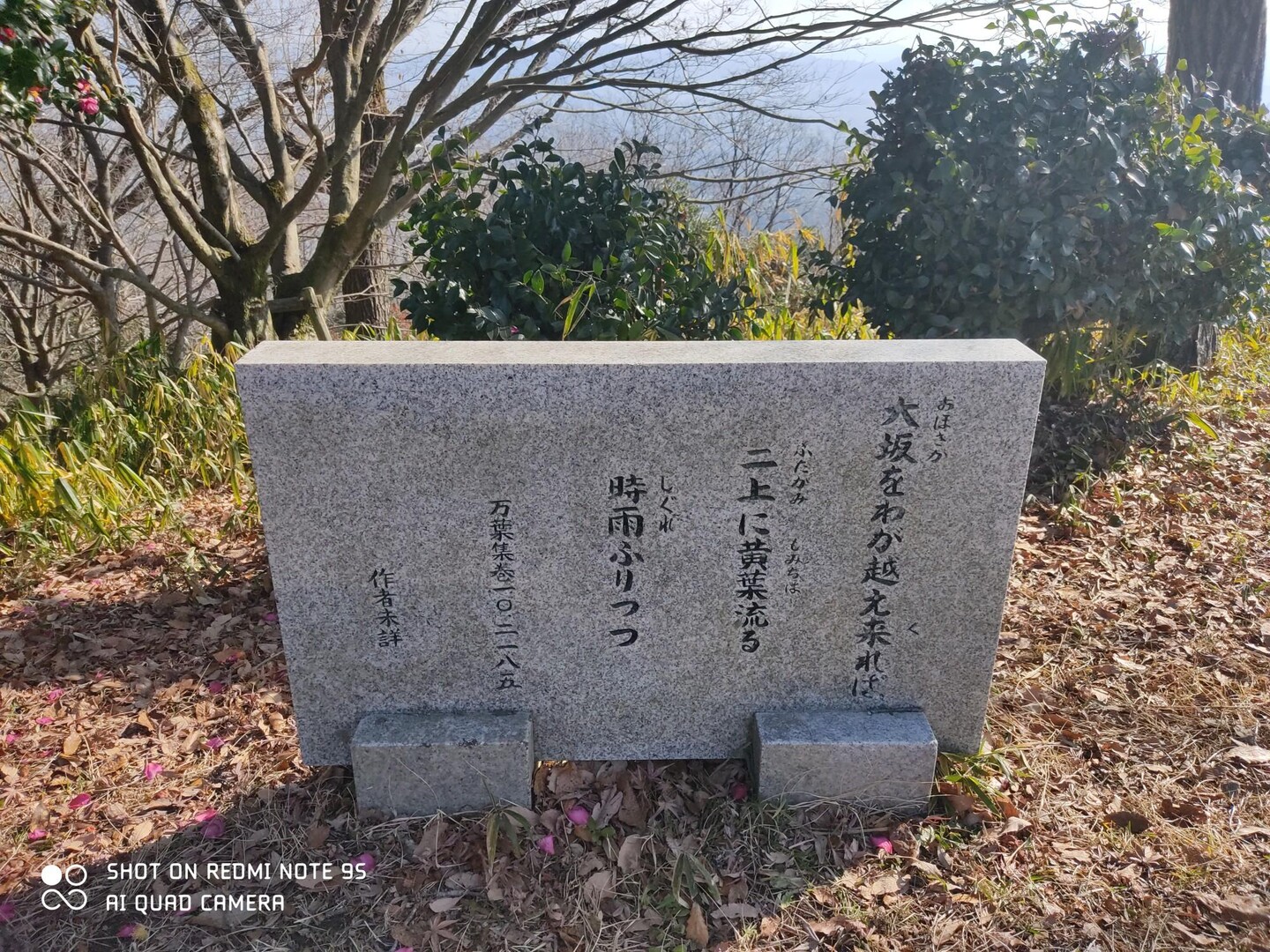 二上山（雌岳） / saxo2000さんの明神山・玉手山の活動データ | YAMAP / ヤマップ