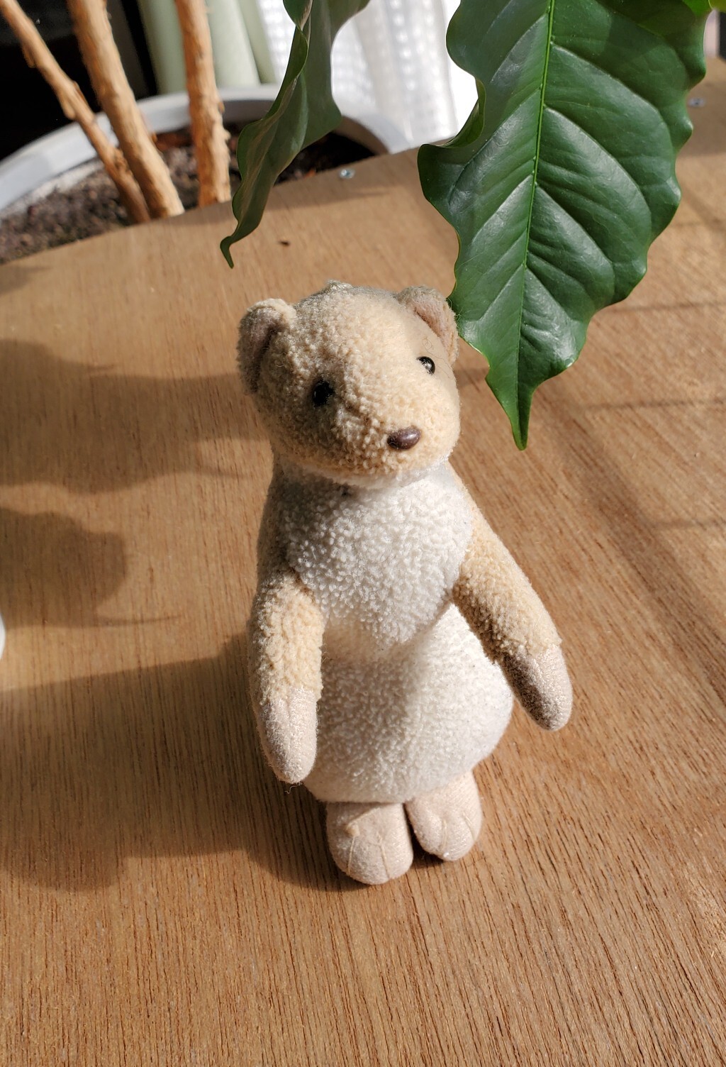 おとうのページ | YAMAP / ヤマップ