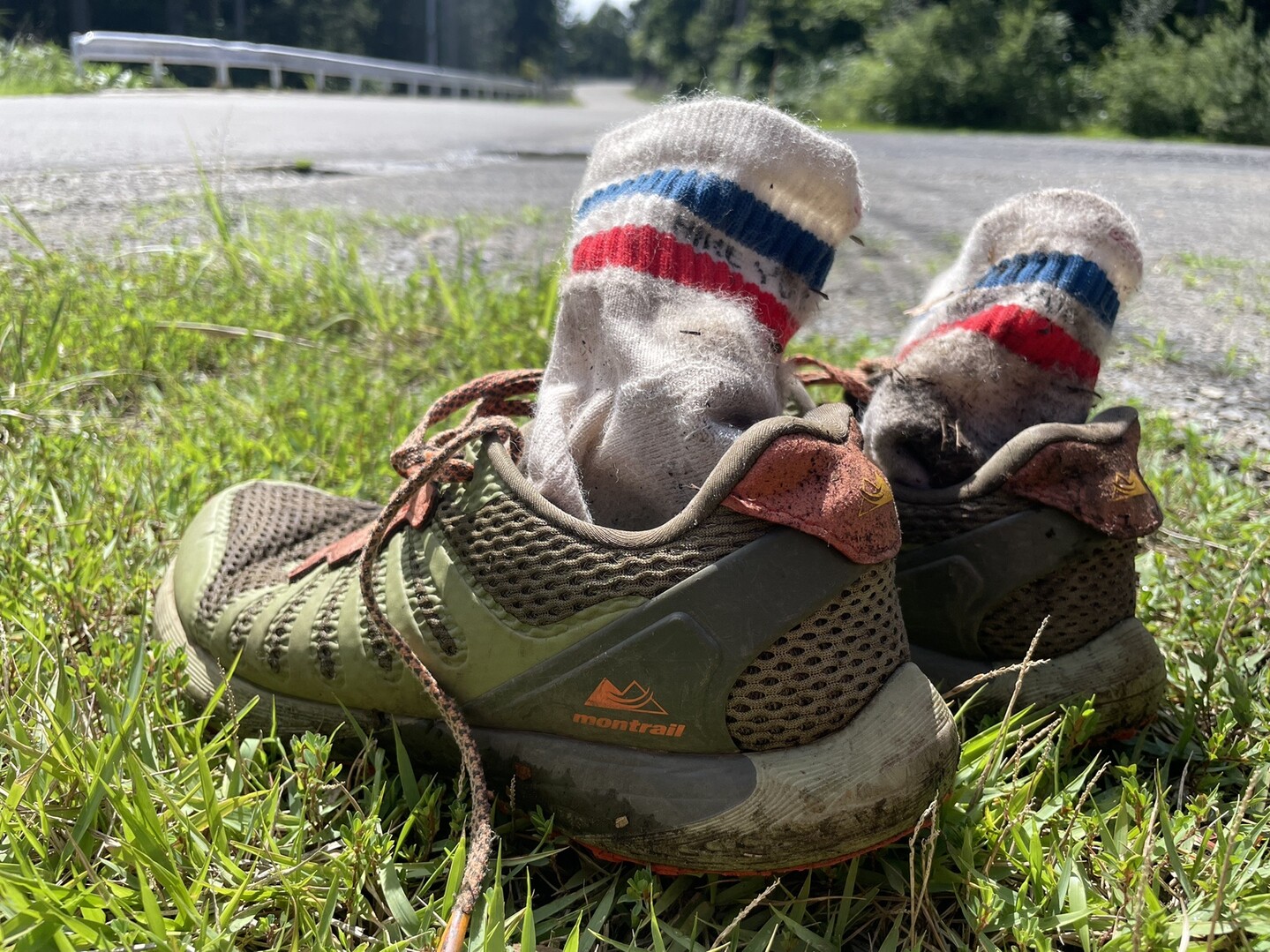 大日ヶ岳 ウイングヒルズから / NNNRさんの大日ヶ岳・毘沙門岳の活動データ | YAMAP / ヤマップ