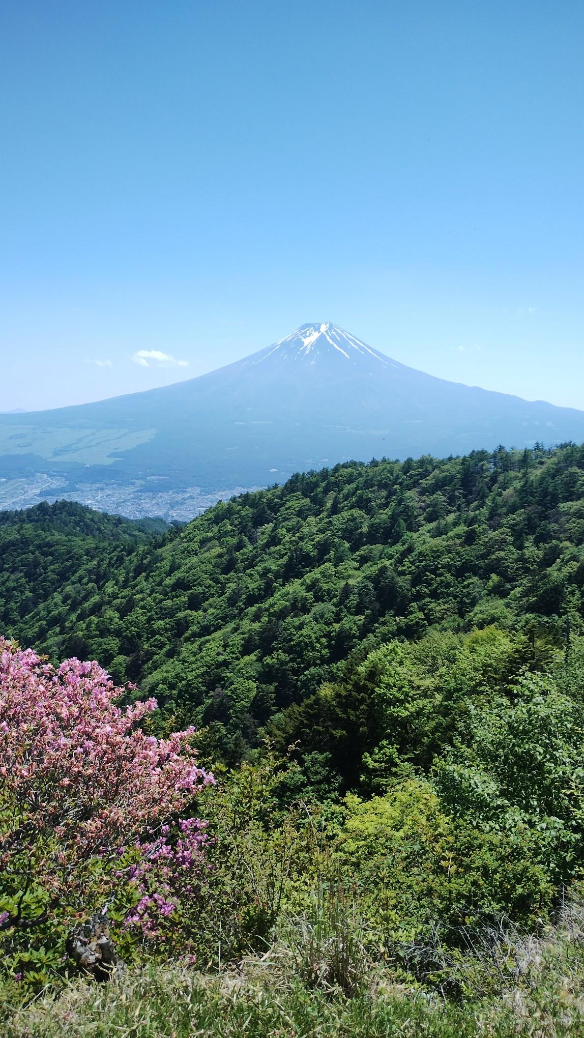 三ッ峠山（開運山）・木山 / KAAZ さんの三ッ峠山・本社ヶ丸・鶴ヶ鳥屋山の活動データ | YAMAP / ヤマップ