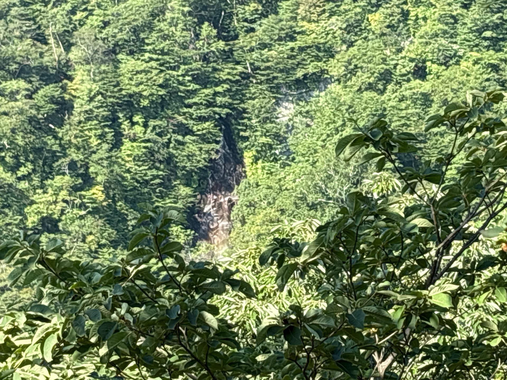 利平茶屋から灼熱の周回 MC600-669.2/39 / カワガラスさんの赤城山・黒檜山・荒山の活動データ | YAMAP / ヤマップ