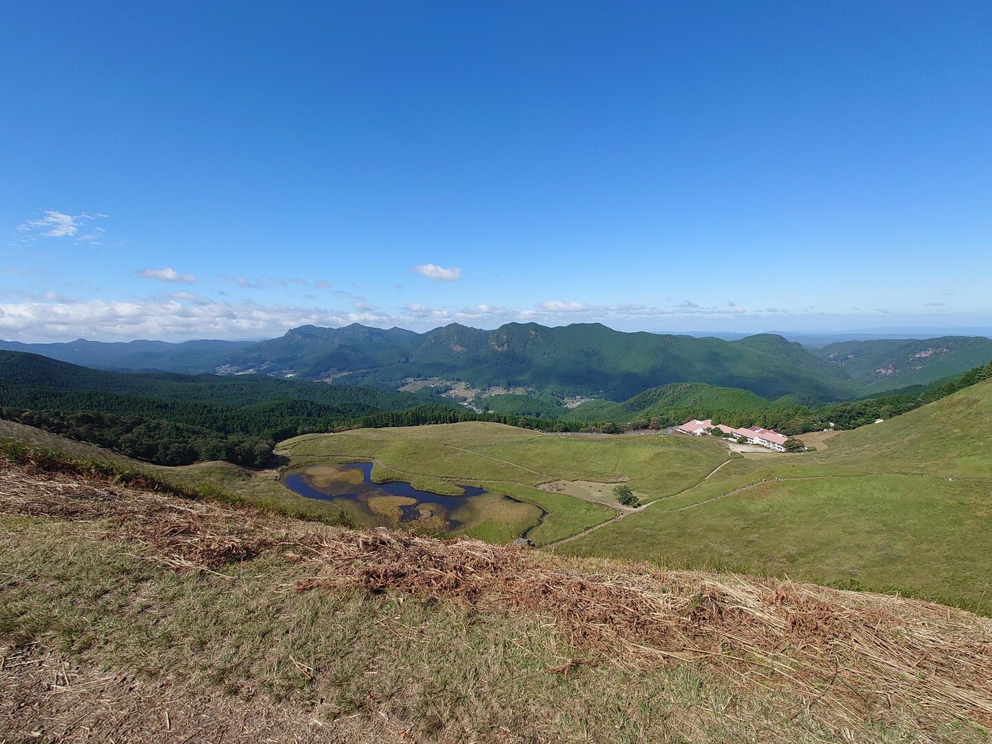 二本ボソ・倶留尊山・亀山 / toshiさんの倶留尊山・曽爾高原・古光山の活動日記 | YAMAP / ヤマップ