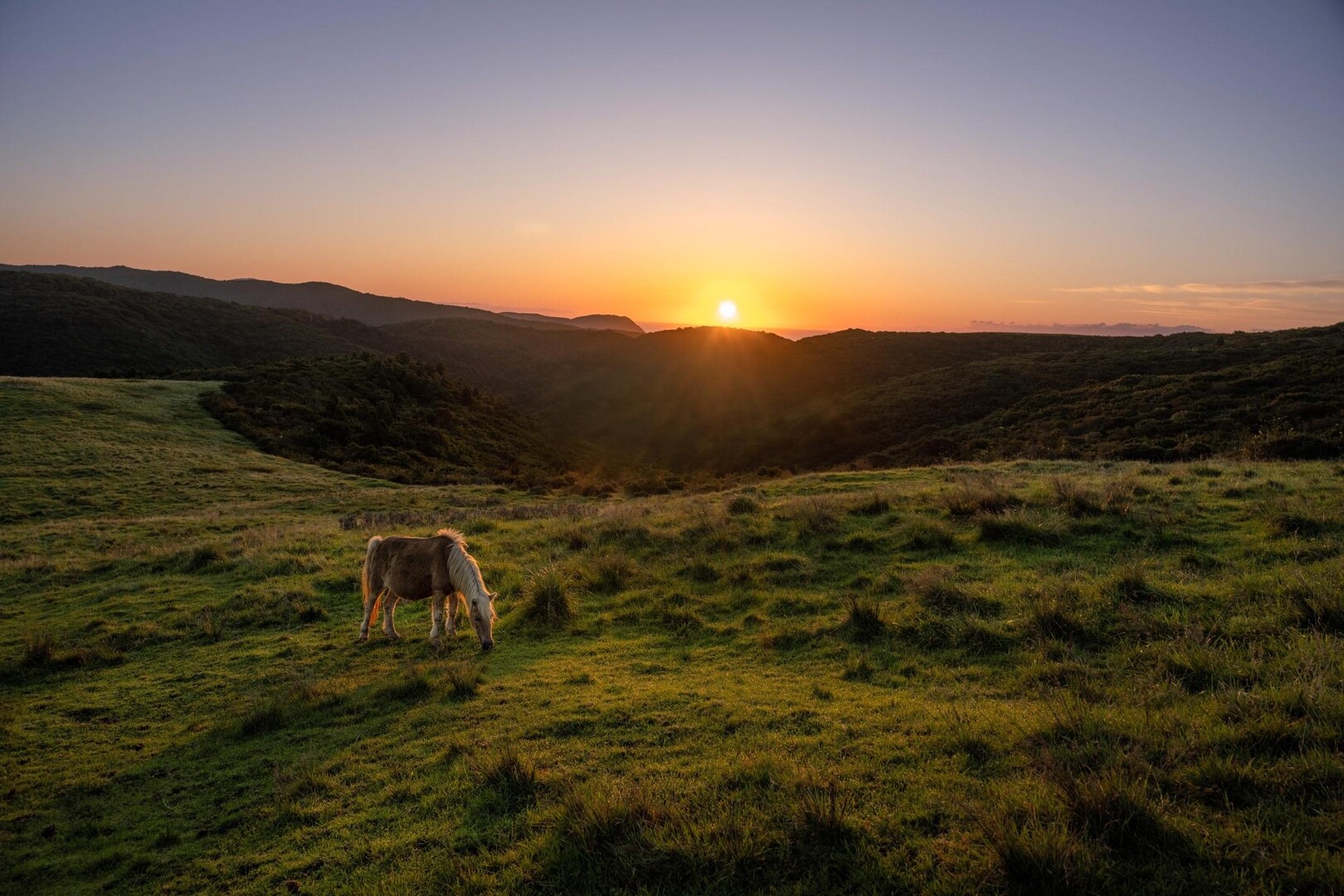 汐首山-2023-04-23 / shuさんの汐首山の活動データ | YAMAP / ヤマップ