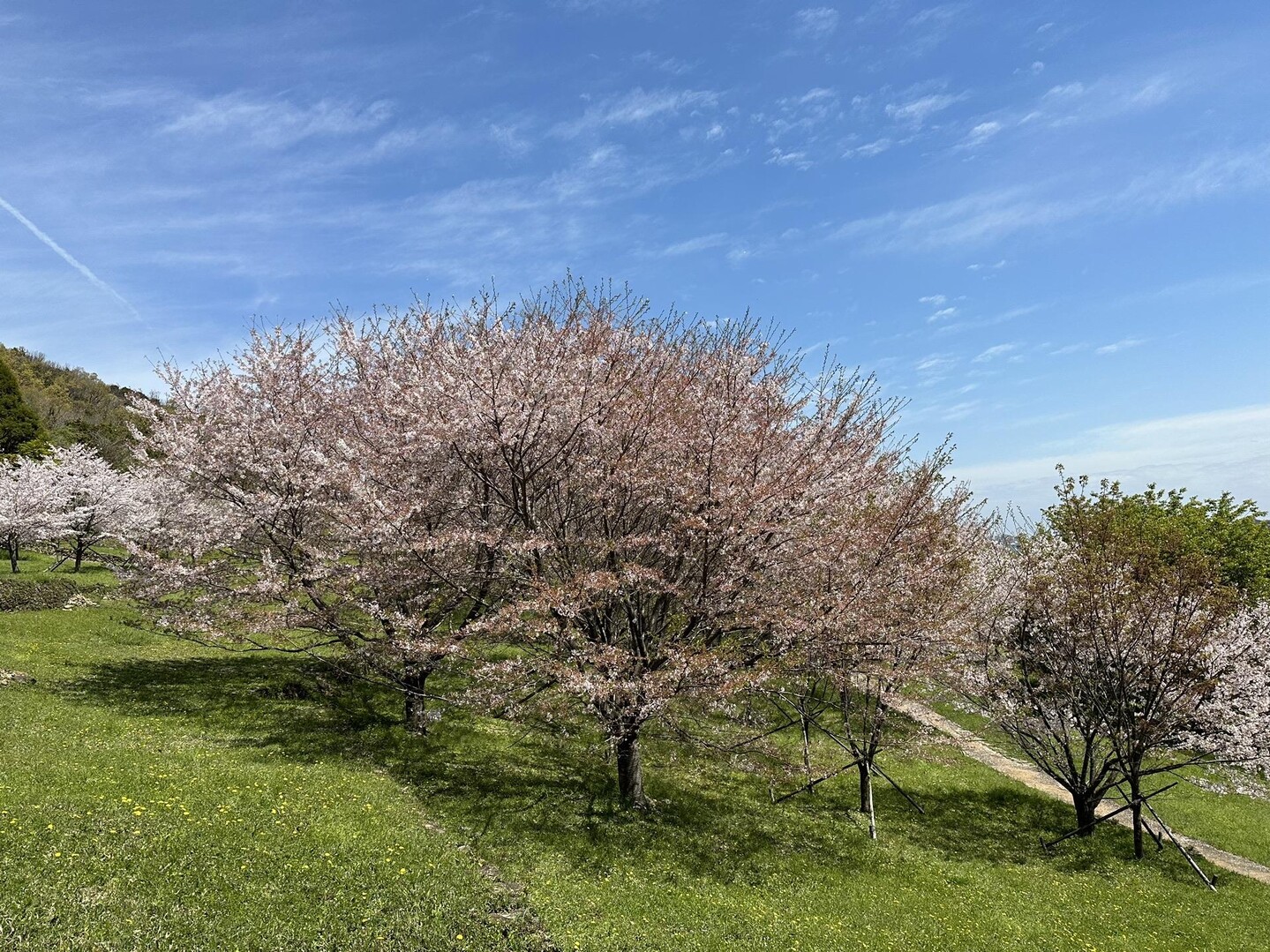 あづり越-2023-04-02 / masa さんのあづり越の活動データ | YAMAP / ヤマップ