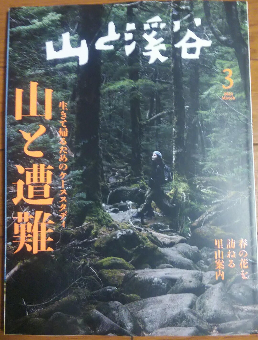 山と渓谷【山と遭難】特集·大峰山系道迷い... / shimoさんのモーメント | YAMAP / ヤマップ