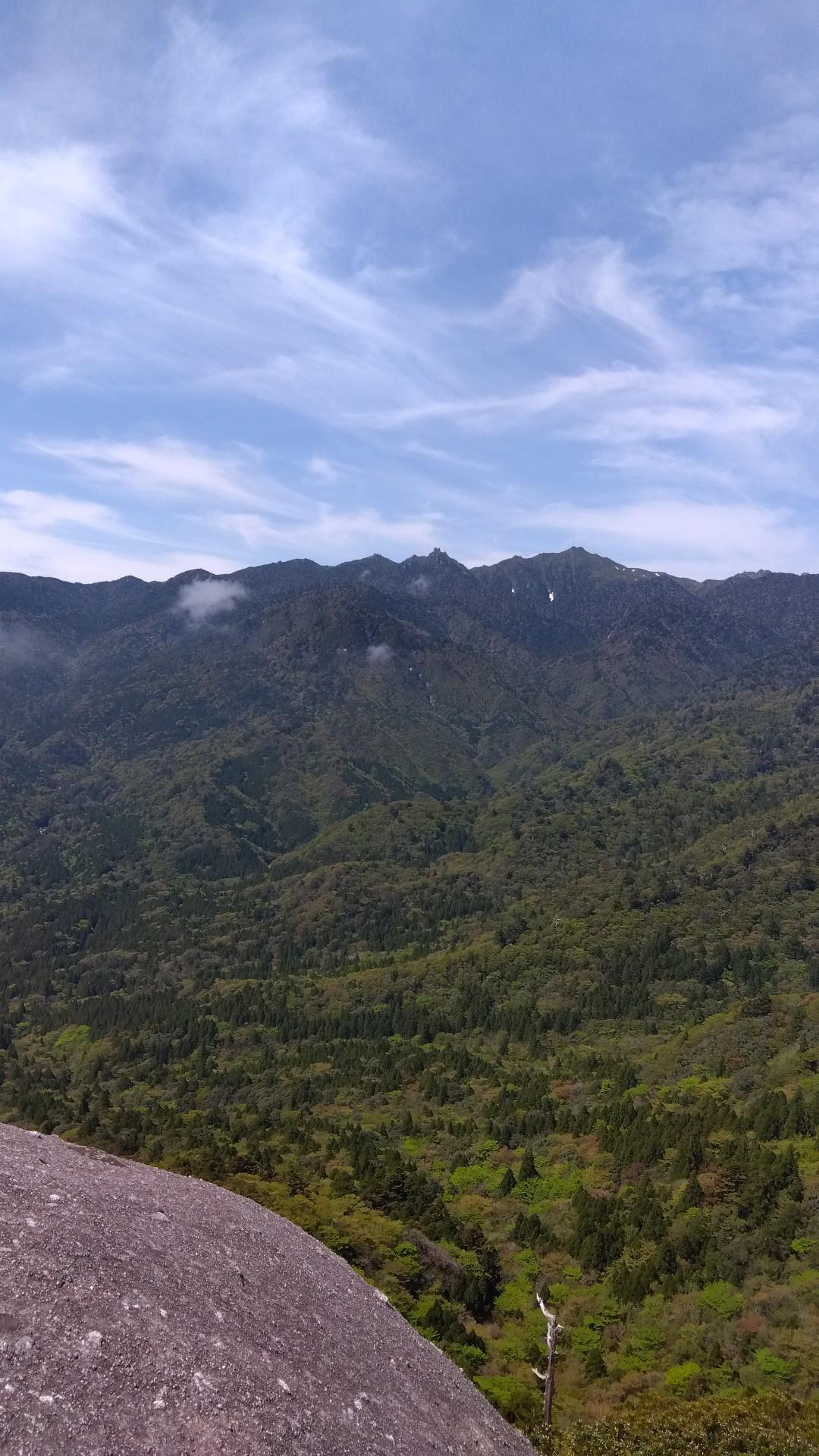 白谷雲水峡-2025-04-21 / 屋久島ガイド本舗さんの屋久島・宮之浦岳の活動データ | YAMAP / ヤマップ