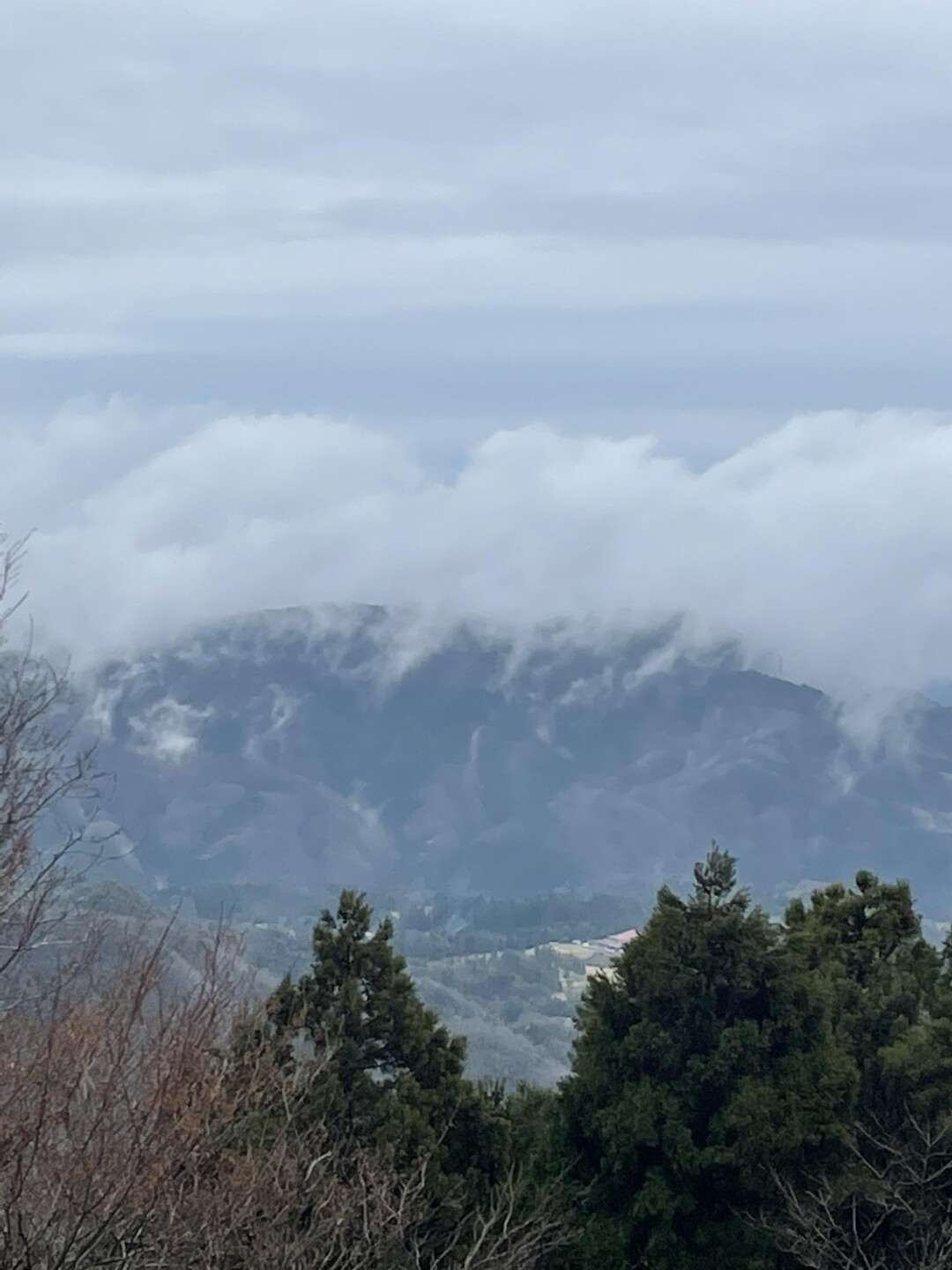 大高神山 / JBT会員番号5さんの大高神山の活動データ | YAMAP / ヤマップ