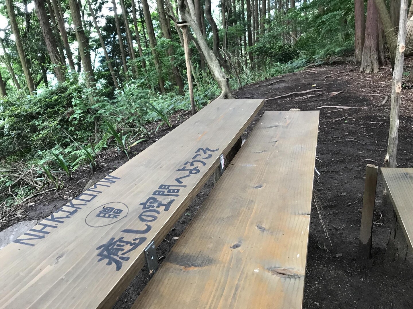 病み上がりで二上山ダッシュ/原岳 / synさんの金剛山・二上山・大和葛城山の活動データ | YAMAP / ヤマップ