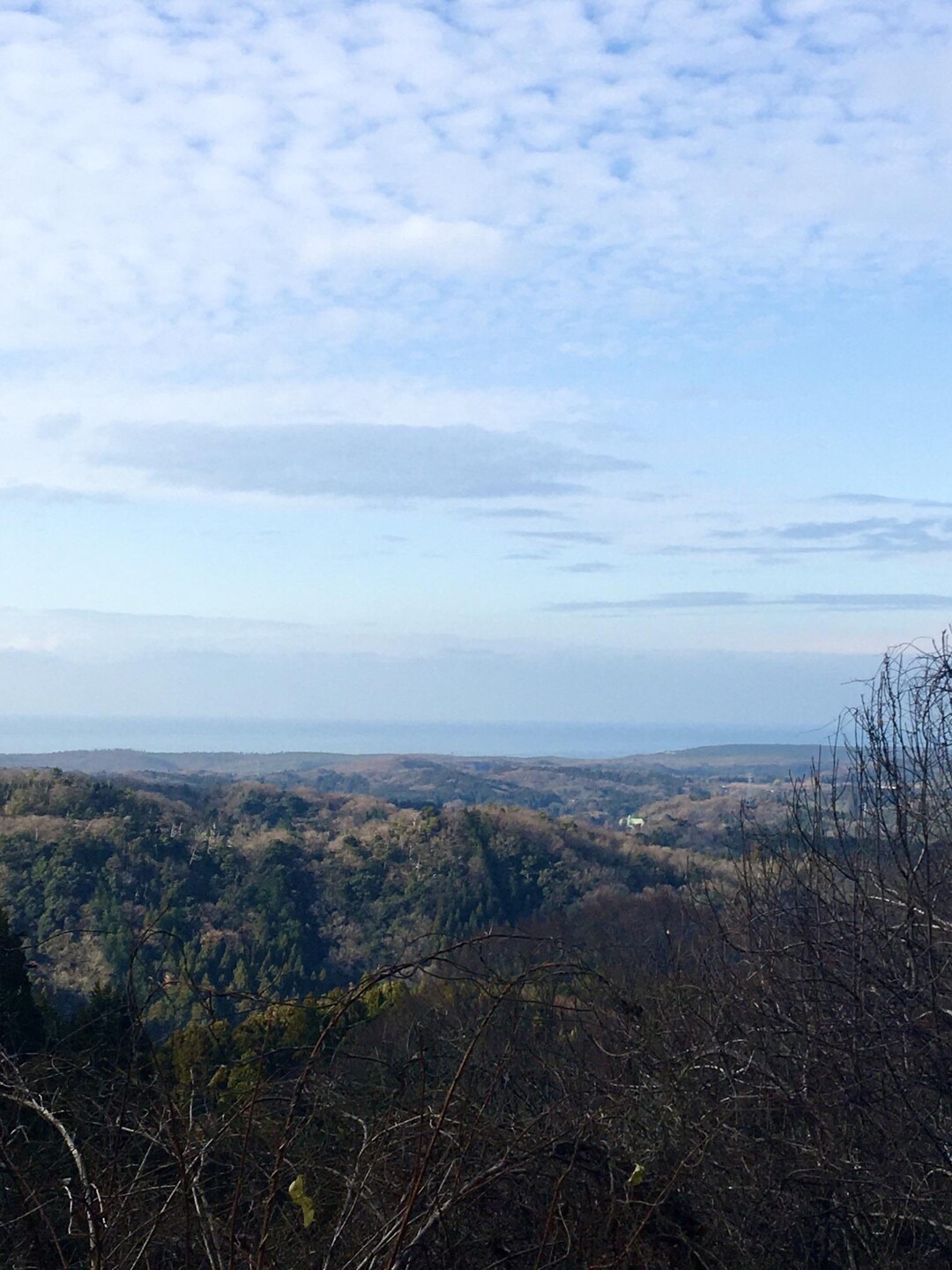 石川観音山4/4！寺尾観音山 / yamaさんの水無山の活動データ | YAMAP / ヤマップ