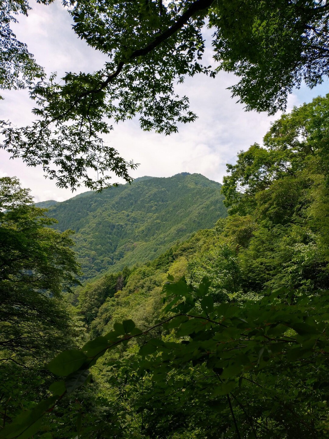 ☁☔からの☀な虚空蔵山・風越山（権現山） / ☆madoka☆さんの風越山（権現山）・虚空蔵山の活動データ | YAMAP / ヤマップ