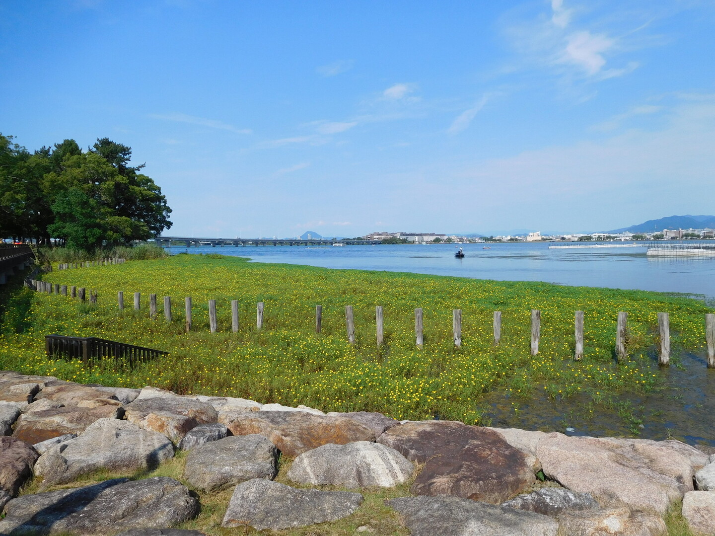 琵琶湖岸ウォーキング / KONIさんの大津市の活動データ | YAMAP / ヤマップ