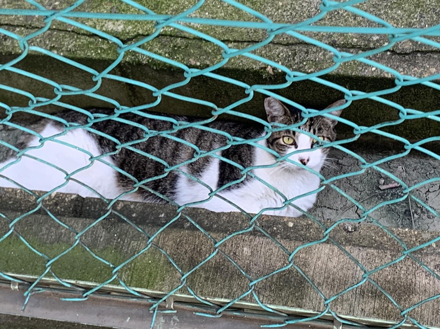 おはようございます。今から組合行事です。... / ガンガンズさんのモーメント | YAMAP / ヤマップ