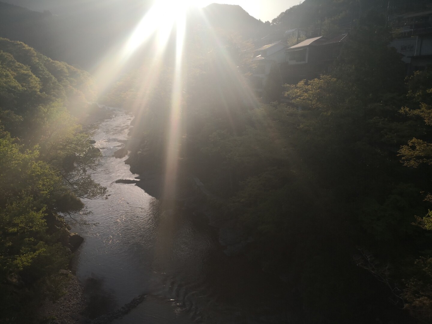奥多摩湖スタート、御前山〜大岳山〜鍋割山・奥の院峰〜御岳山コース / ckxierさんの大岳山・御岳山・御前山の活動データ | YAMAP / ヤマップ