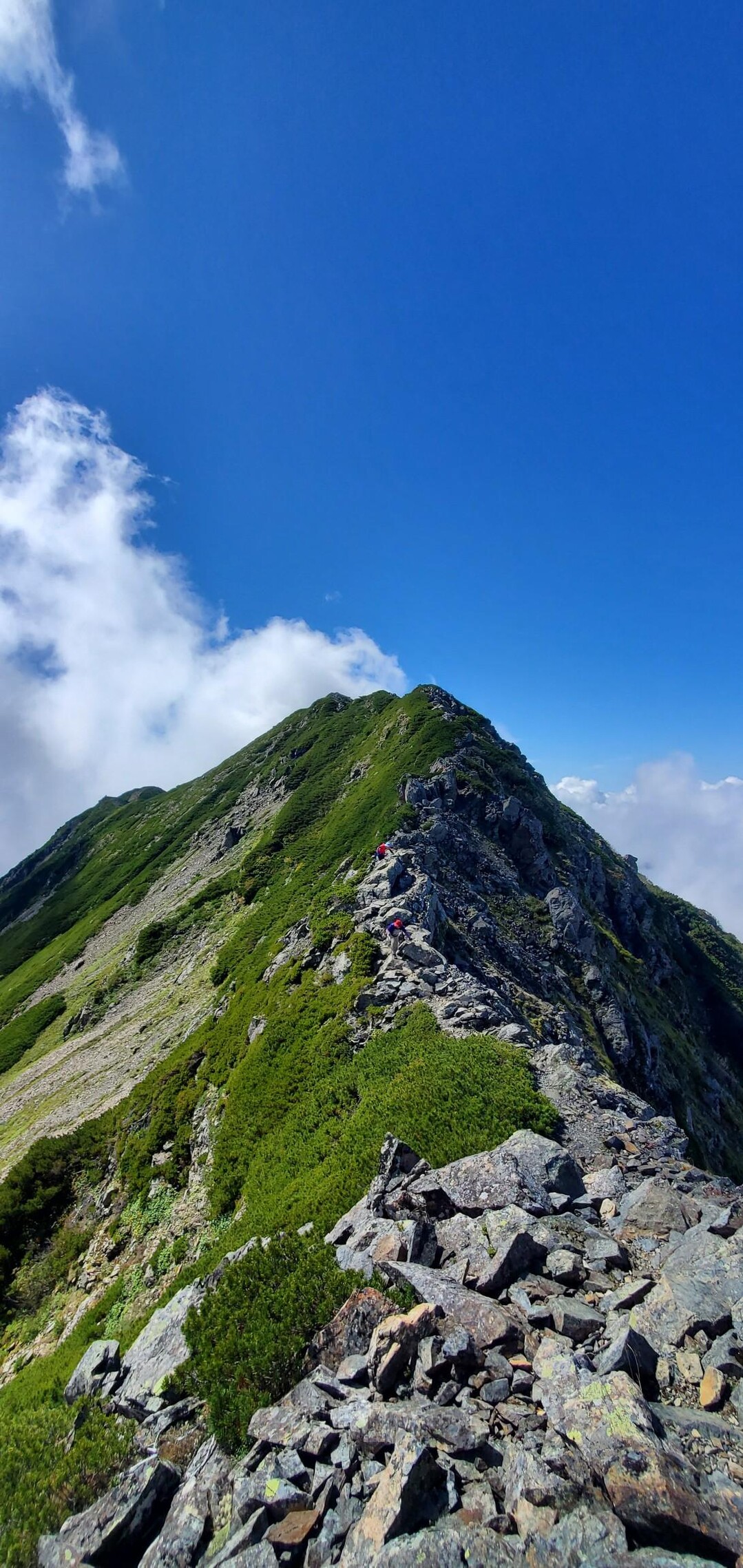 トレジョグPH 小仙丈ヶ岳・仙丈ヶ岳・大仙丈ヶ岳 / hirobonさんの仙丈ヶ岳・伊那荒倉岳の活動データ | YAMAP / ヤマップ