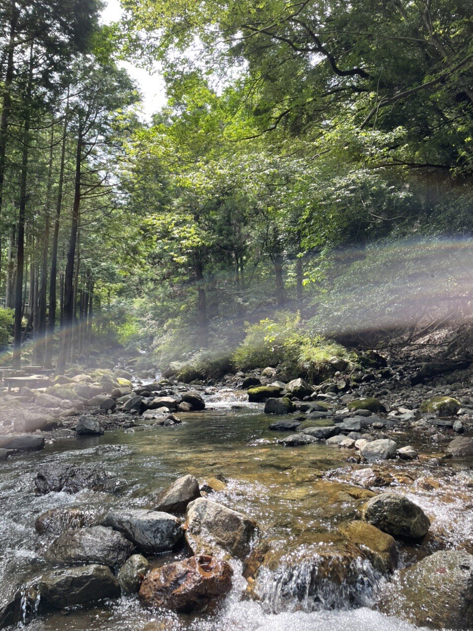 ようやく腰の調子が良くなってきて、でもま... / kikuさんのモーメント | YAMAP / ヤマップ