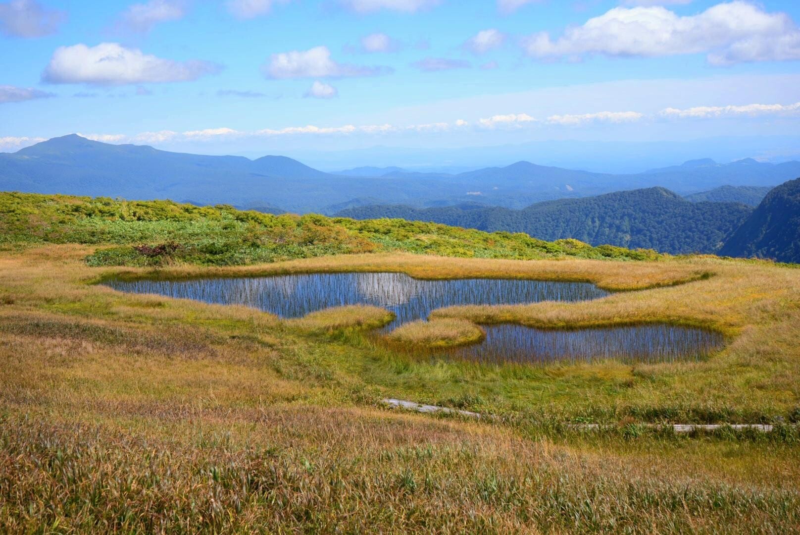 虎毛山 / jmamaさんの水沢森の活動データ | YAMAP / ヤマップ