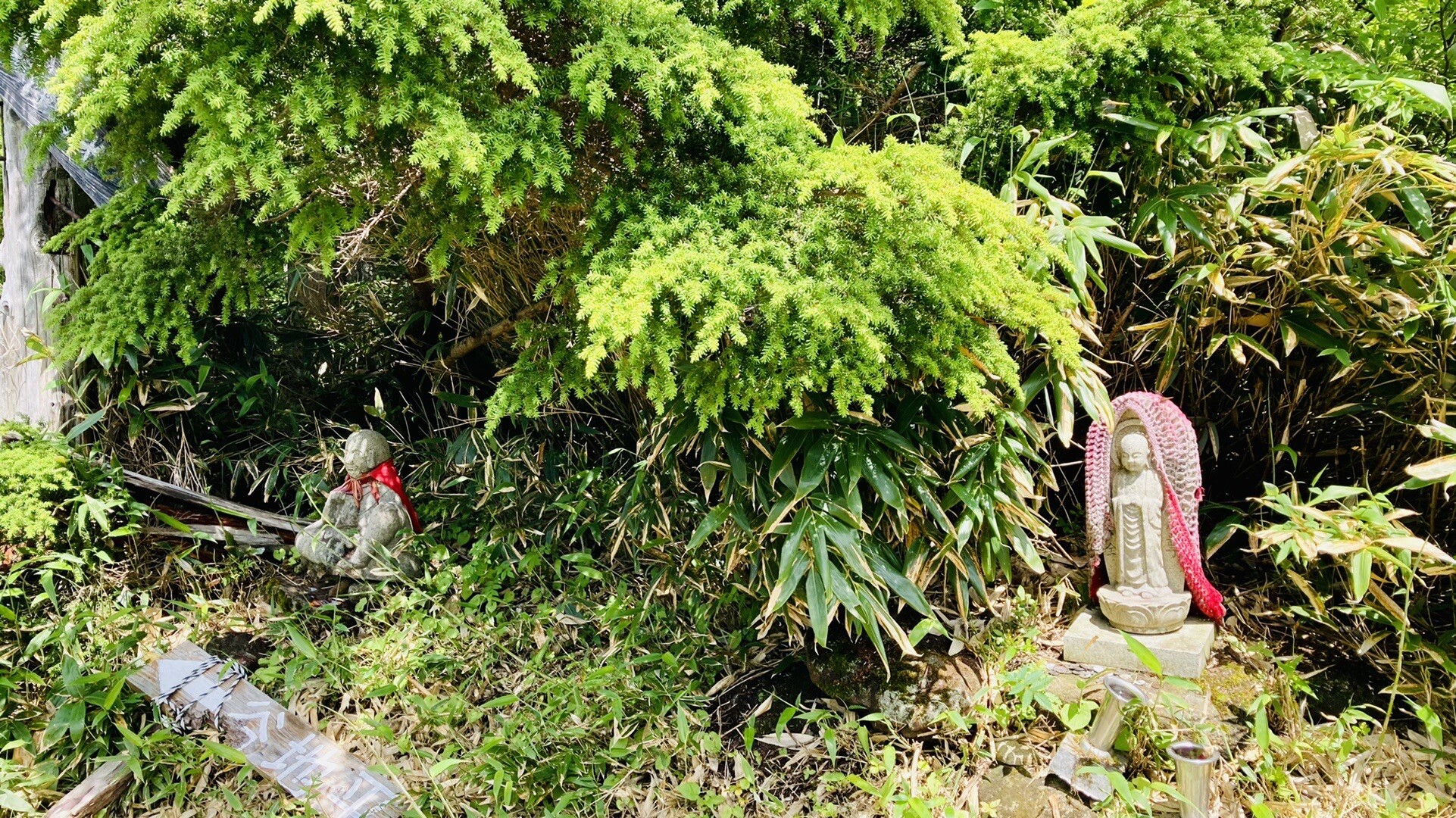 tsyamaさんの投稿したフィールドメモ | YAMAP / ヤマップ