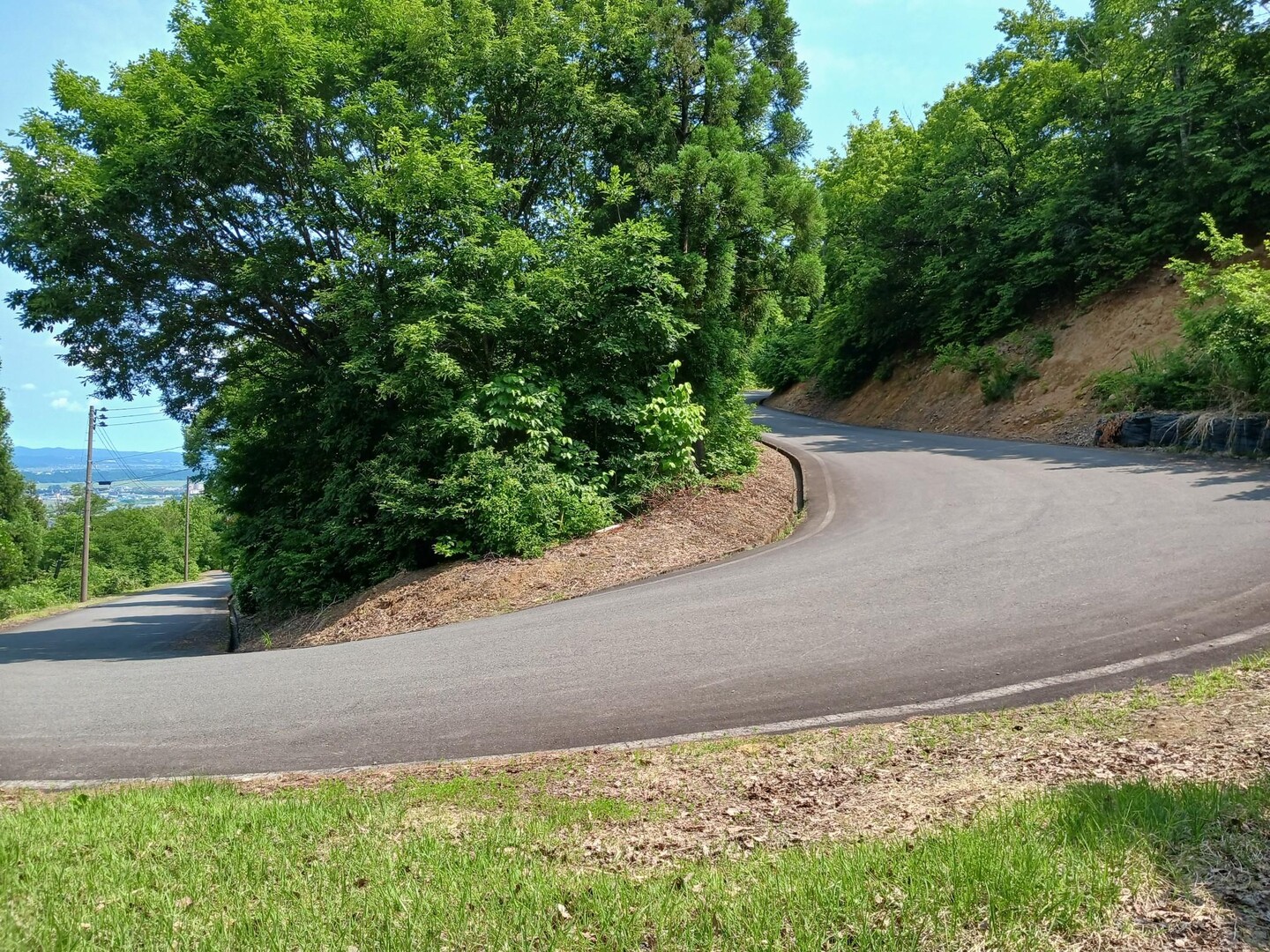 山本山往復 / ta-さんの時水城山・丸山の活動データ | YAMAP / ヤマップ