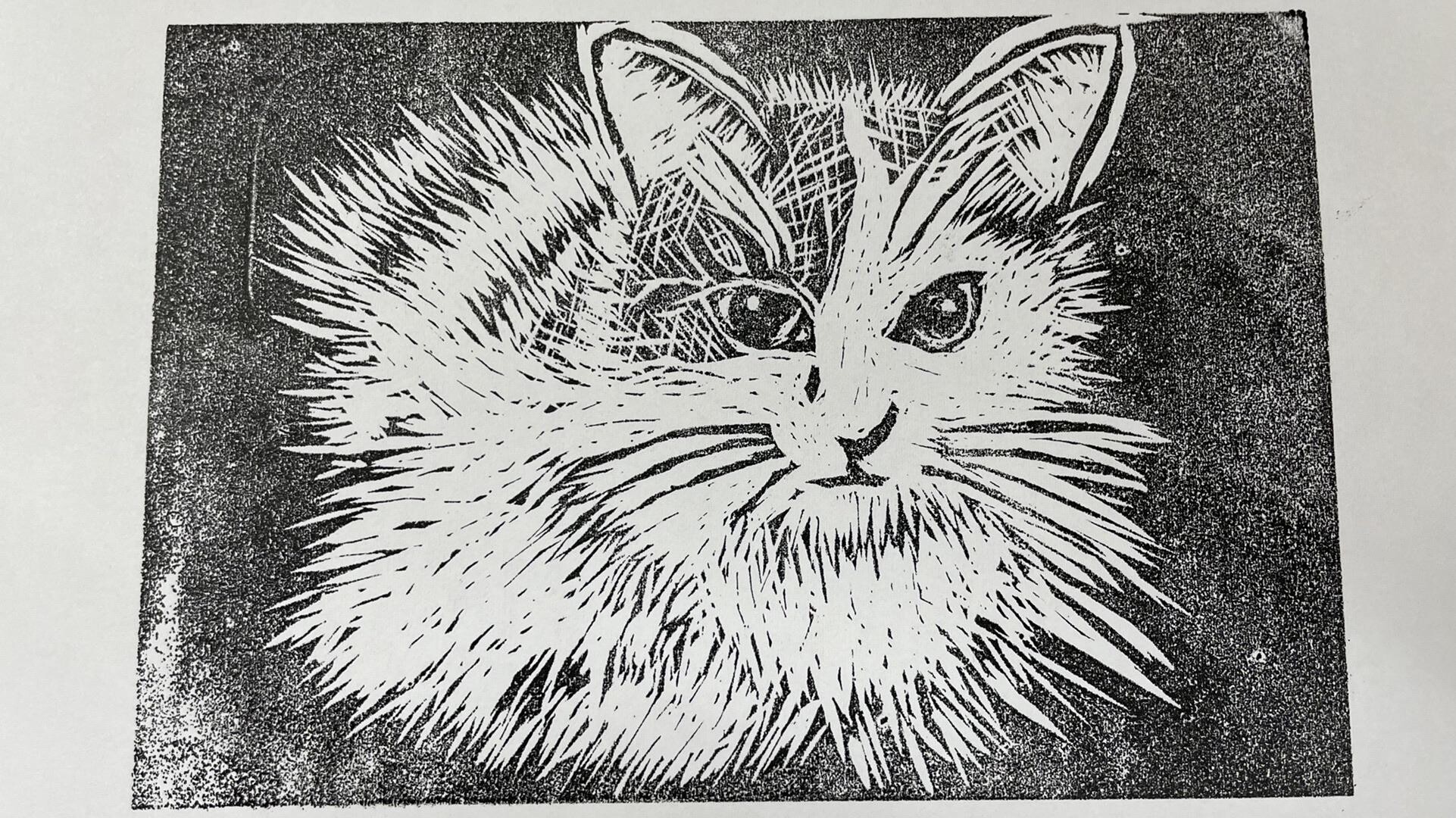 山とは全然関係ないですが… フォローして... / pickji28さんのモーメント | YAMAP / ヤマップ